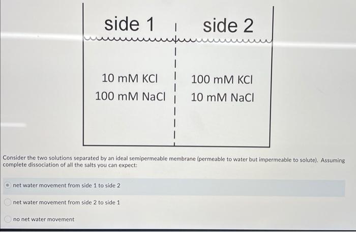 Solved Consider the two solutions separated by an ideal | Chegg.com
