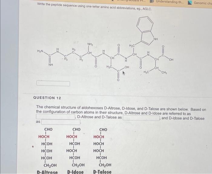 Solved Write the peptide sequence using one-letter amino | Chegg.com