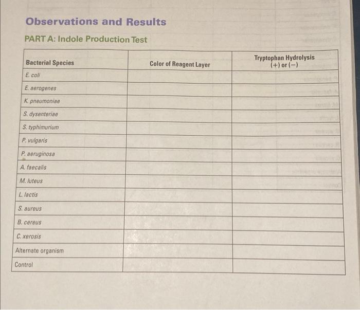 Solved Observations and Results PART A: Indole Production | Chegg.com