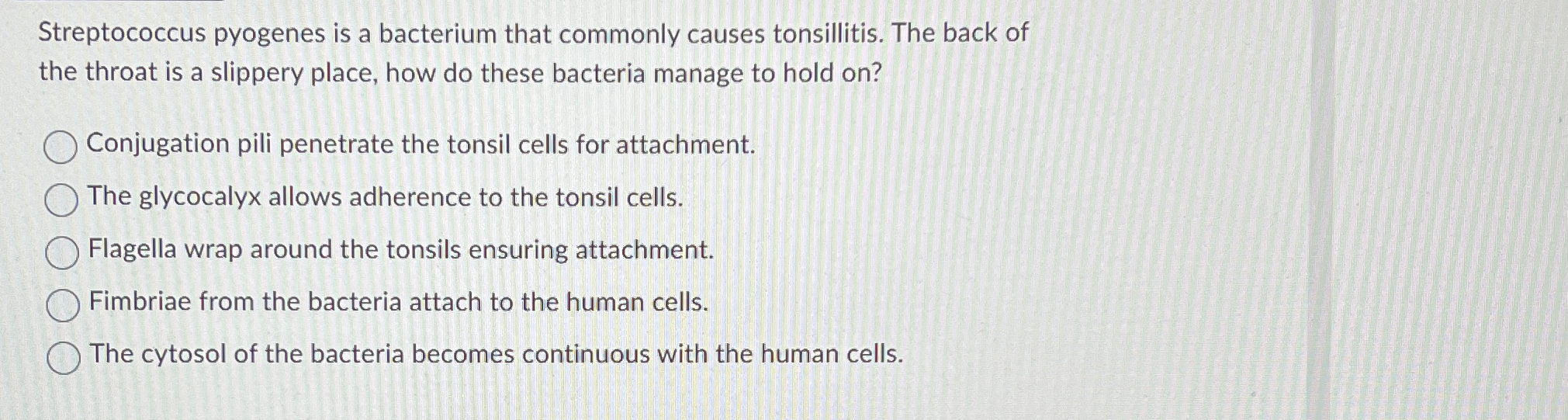 Solved Streptococcus pyogenes is a bacterium that commonly | Chegg.com