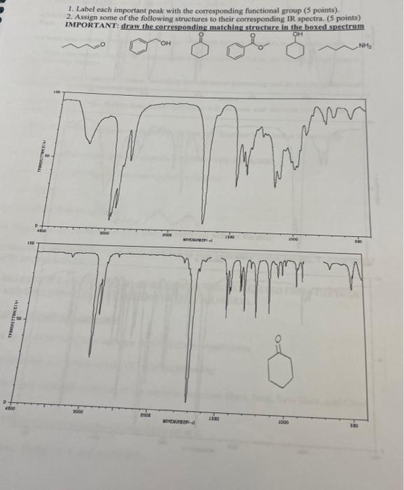 Solved 1. Label each important peak with the corresponding | Chegg.com