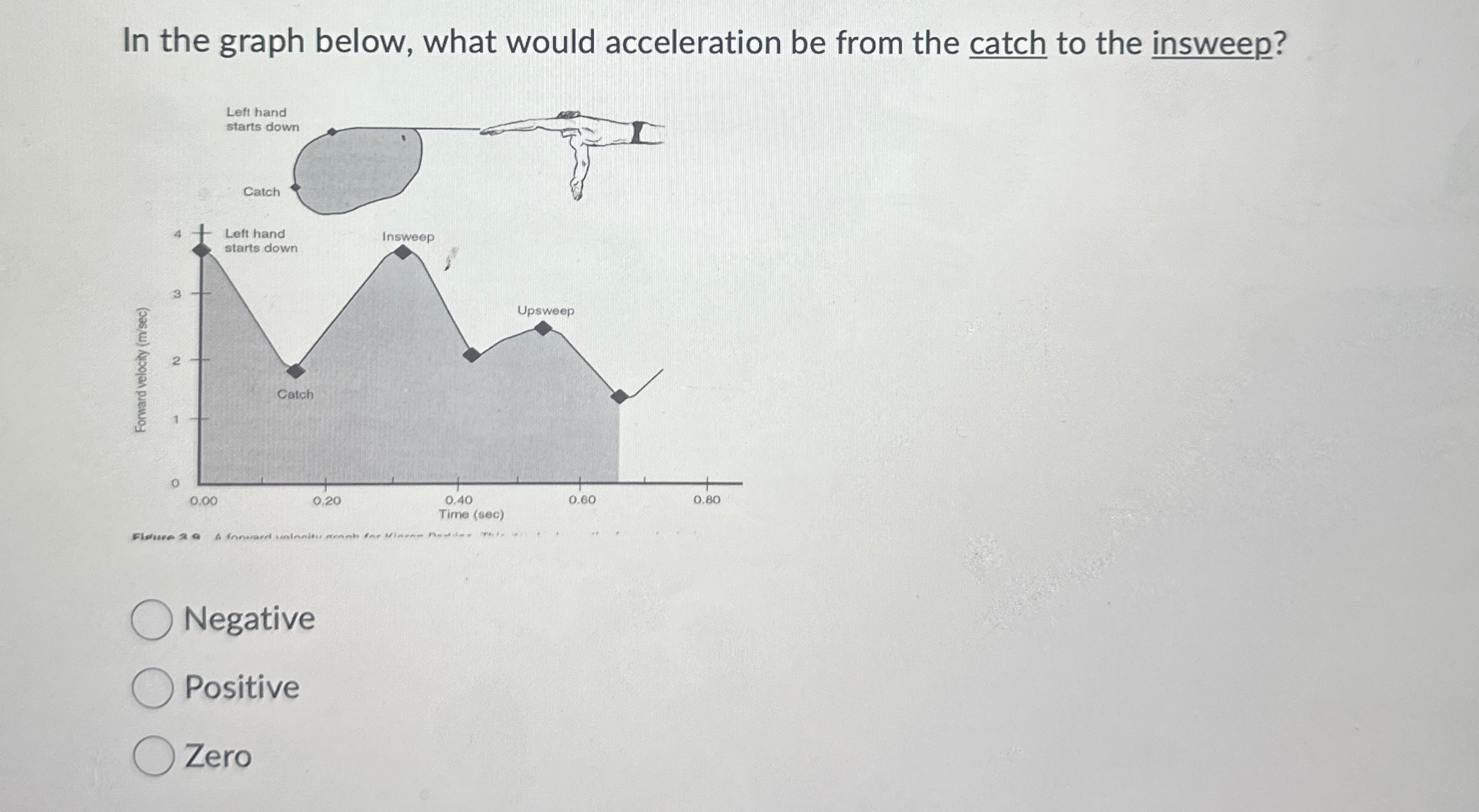 Solved In the graph below, what would acceleration be from | Chegg.com