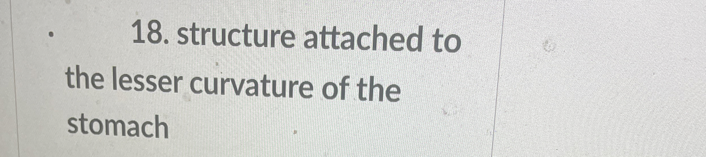 Solved structure attached to the lesser curvature of the | Chegg.com
