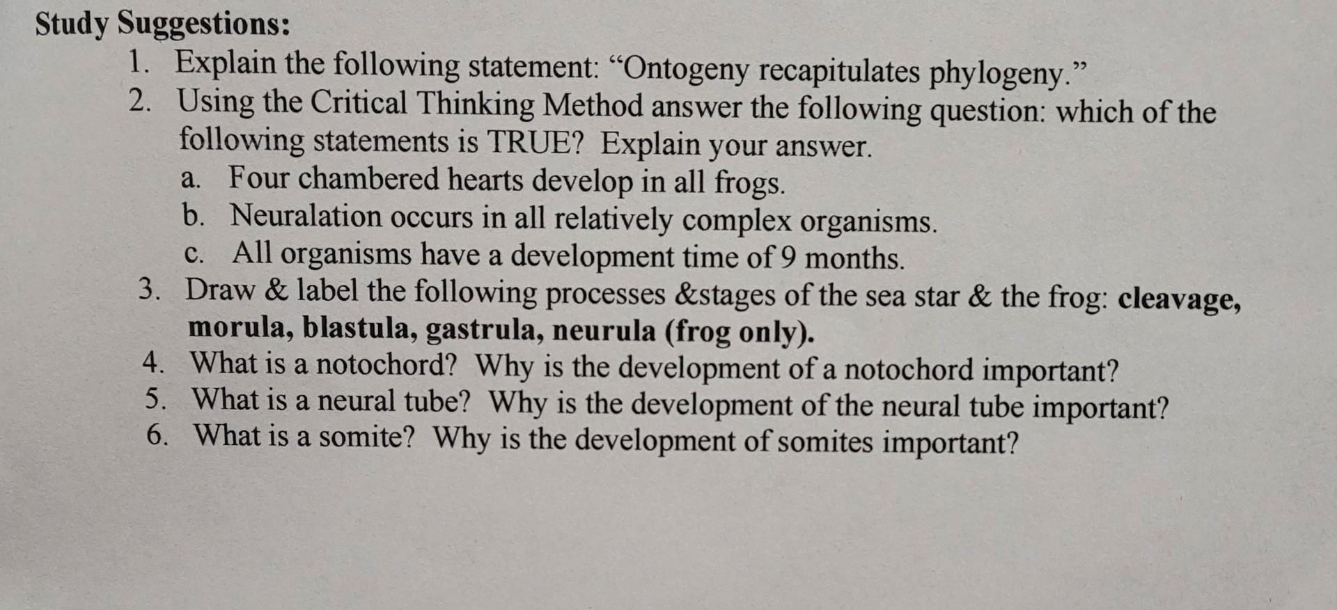 1. Explain the following statement: "Ontogeny | Chegg.com