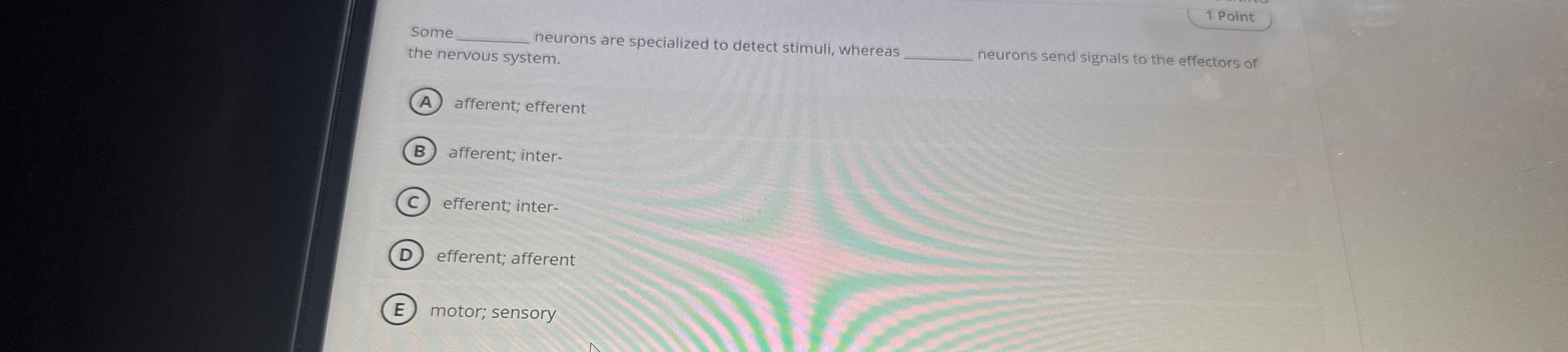 Solved Some neurons are specialized to detect stimuli, | Chegg.com