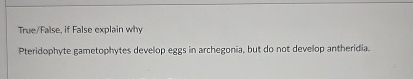 Solved True/False, ﻿if False explain whyPteridophyte | Chegg.com
