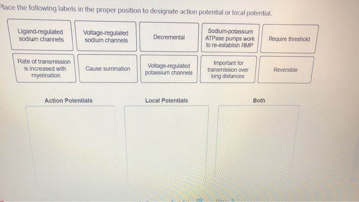Solved Place the following labels in the proper position to | Chegg.com