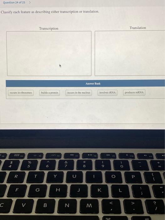 Solved Question 24 of 25 > Classify each feature as | Chegg.com