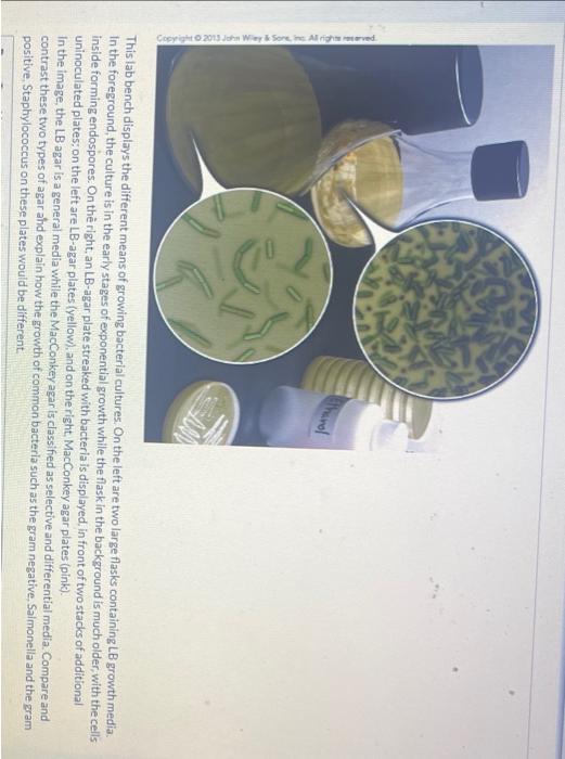 Solved This lab bench displays the different means of | Chegg.com