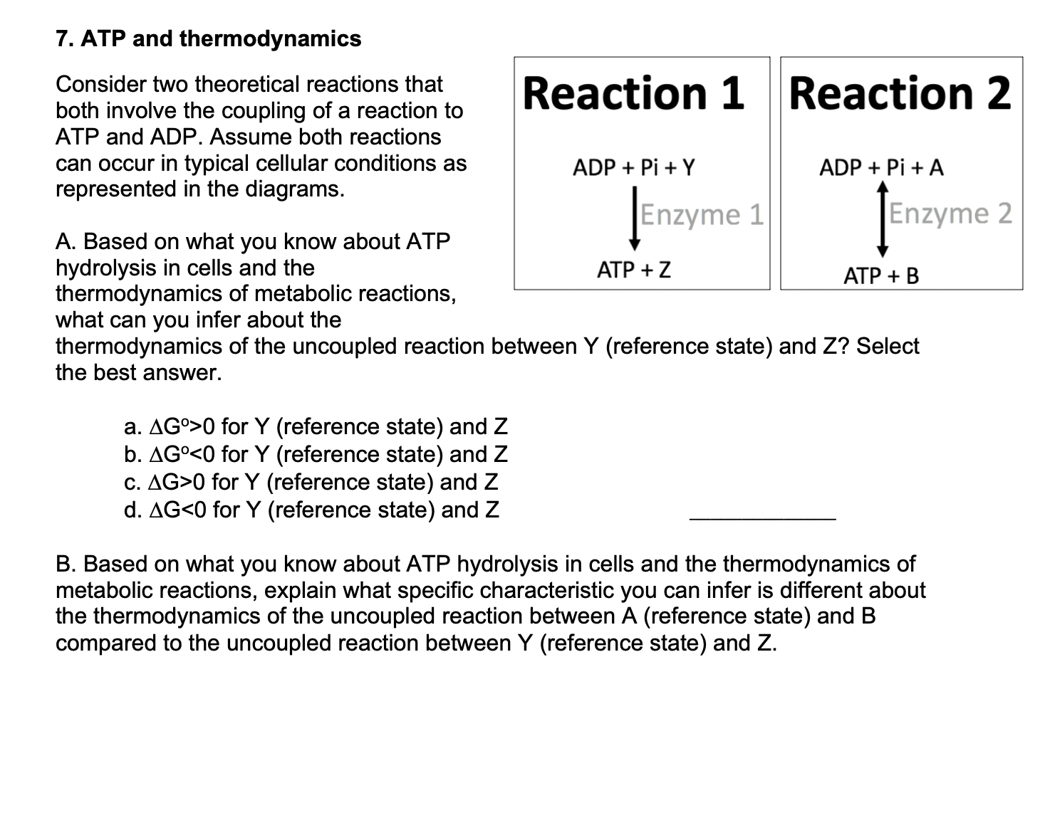 ATP and thermodynamicsConsider two theoretical | Chegg.com