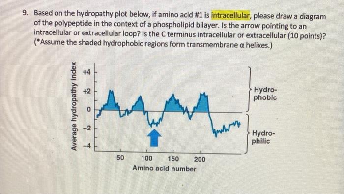 Solved 9. Based on the hydropathy plot below, if amino acid | Chegg.com