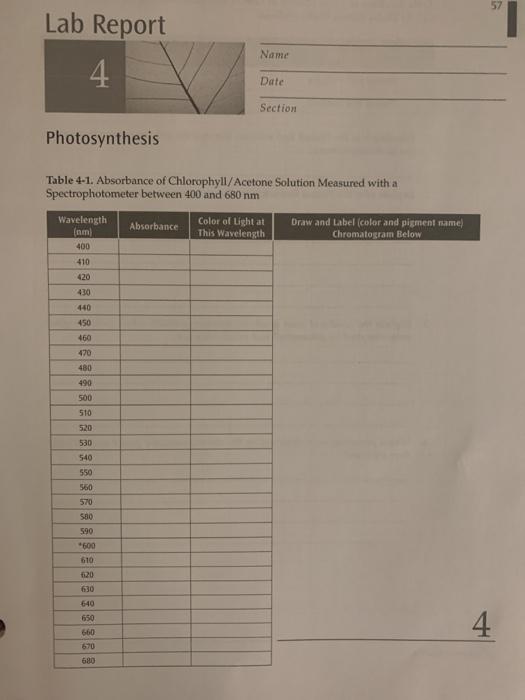 57 Lab Report 4 Name Date Section Photosynthesis | Chegg.com