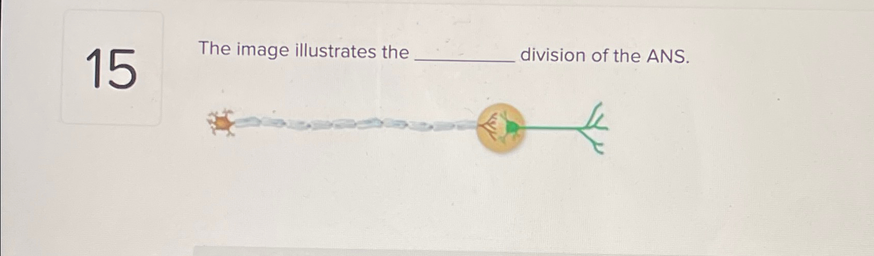 Solved 15The image illustrates the ﻿division of the ANS. | Chegg.com