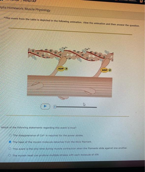 plia Homework: Muscle Physiology *This event from the | Chegg.com