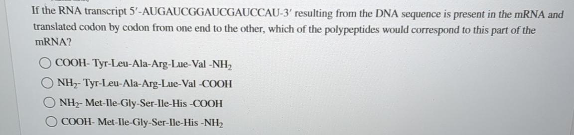 Solved If the RNA transcript 5'-AUGAUCGGAUCGAUCCAU-3' | Chegg.com