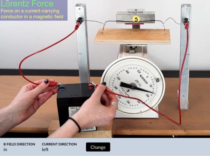 Solved Calculate the magnetic force that corresponds to | Chegg.com