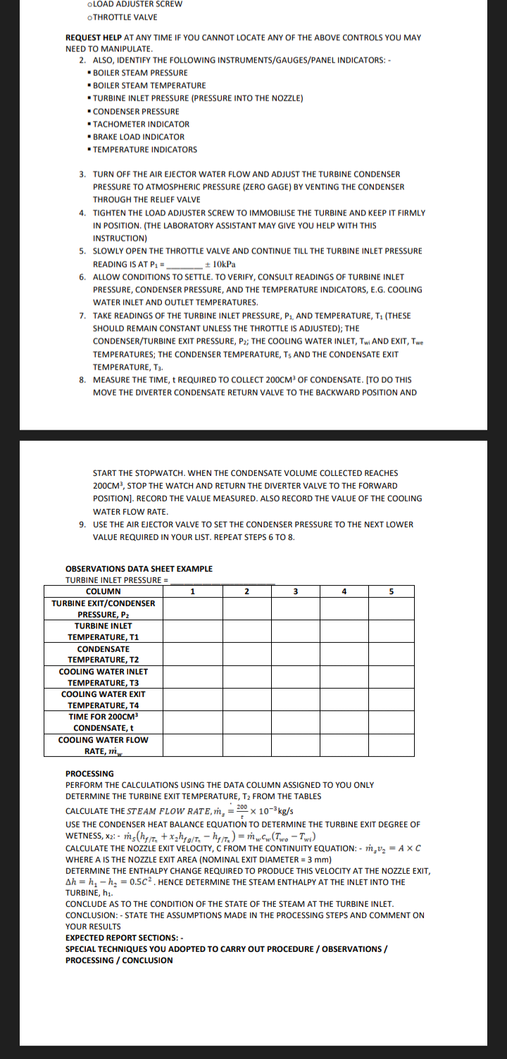 Berg Balance Assessment Template