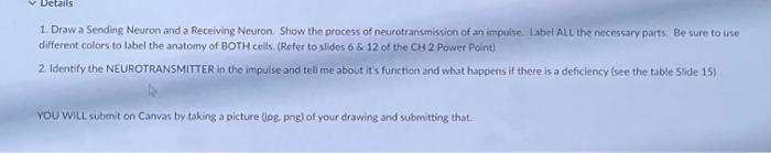 Solved 1. Draw a Sending Neuron and a Receiving Neuron. Show | Chegg.com