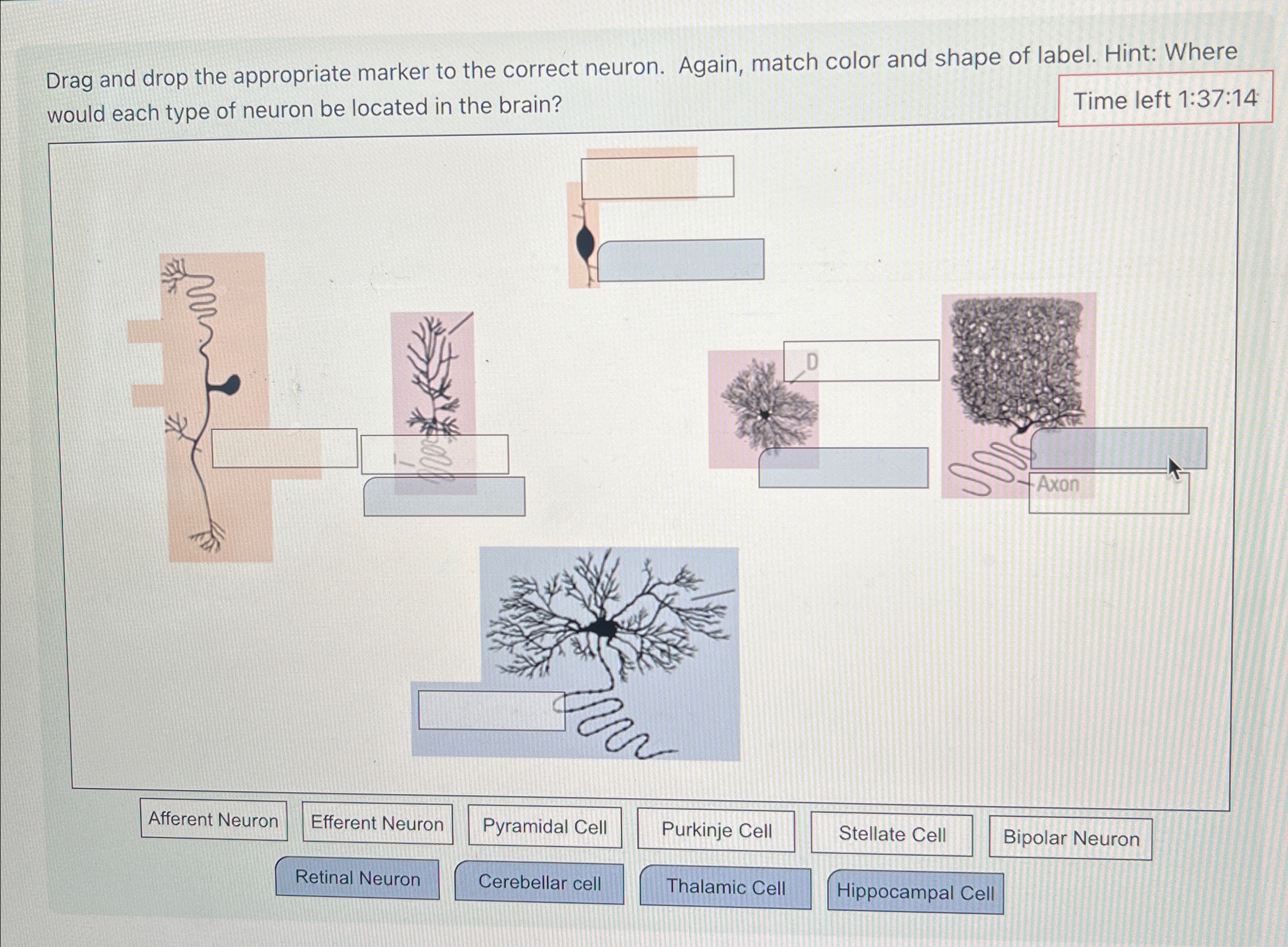 Solved Drag and drop the appropriate marker to the correct | Chegg.com
