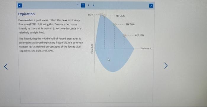 Solved Flow-volume loop Select Annotate and indicate in red | Chegg.com