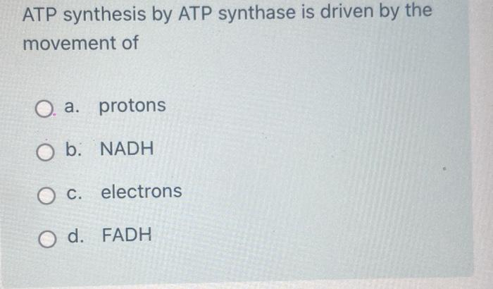 Solved ATP synthesis by ATP synthase is driven by the | Chegg.com
