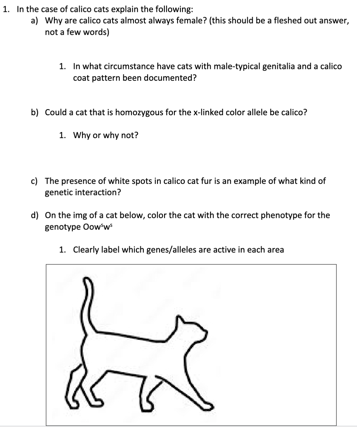Solved 1. ﻿In the case of calico cats explain the following: | Chegg.com