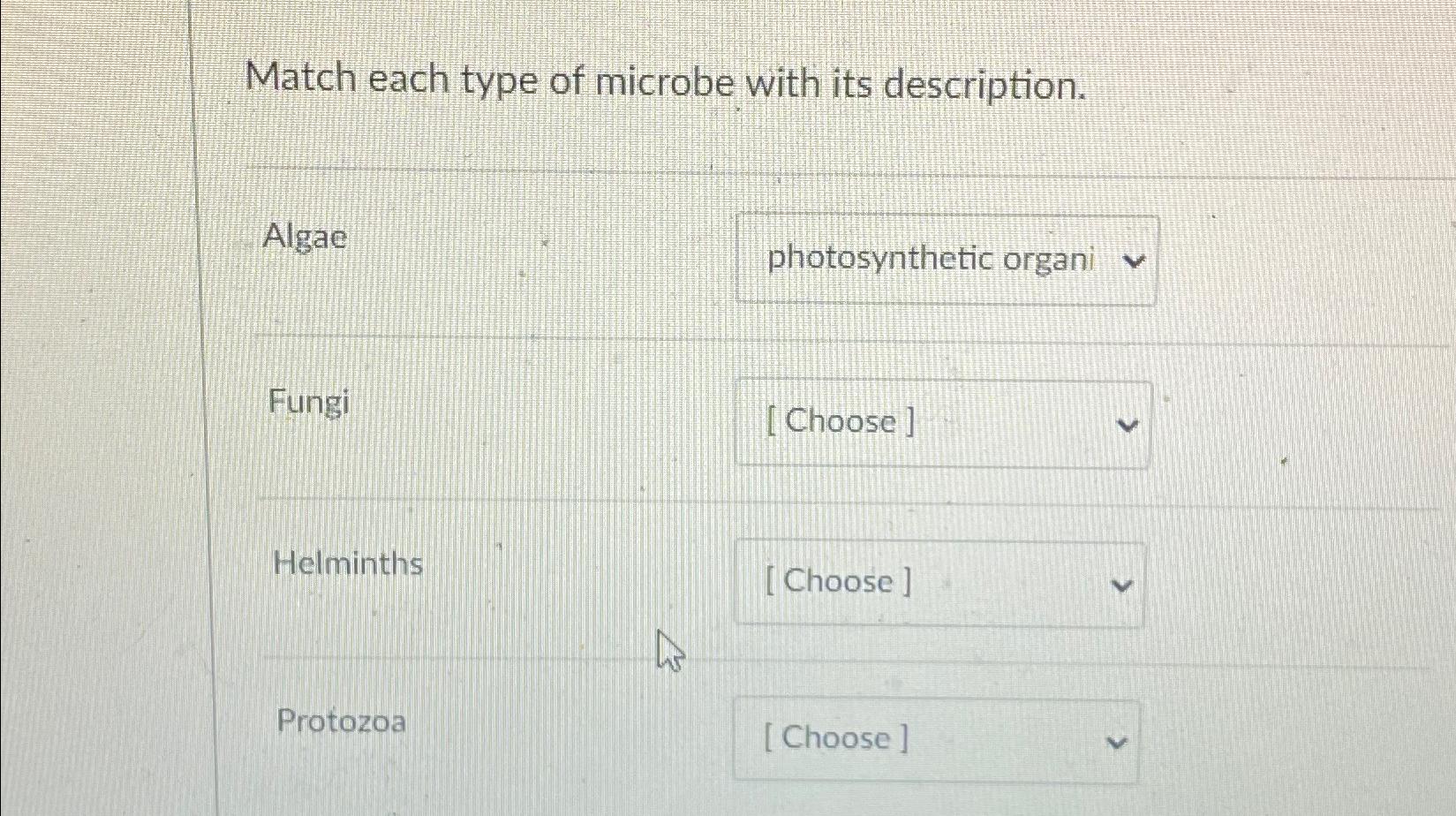 Solved Match each type of microbe with its | Chegg.com