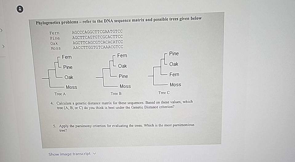 Solved Phylogenetics problems - ﻿refer to the DNA sequence | Chegg.com