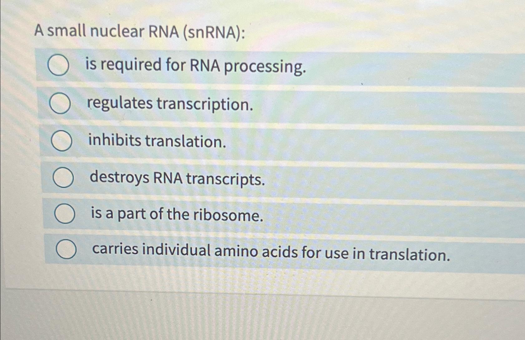 Solved A small nuclear RNA (snRNA):is required for RNA | Chegg.com