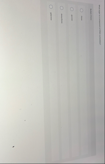 Solved What super is a componert of ONia nucleotions?shatuse | Chegg.com