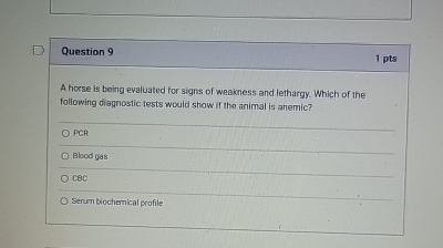 Solved Question 91 ﻿ptsA horse is being evaluated for signs | Chegg.com