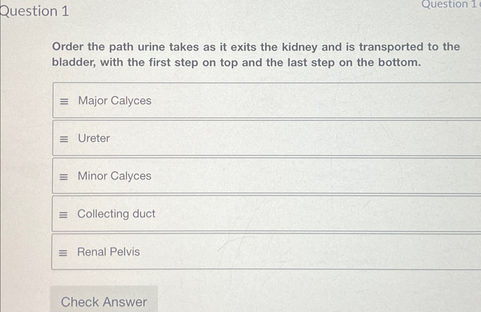Solved Question 1Question 1Order the path urine takes as it | Chegg.com