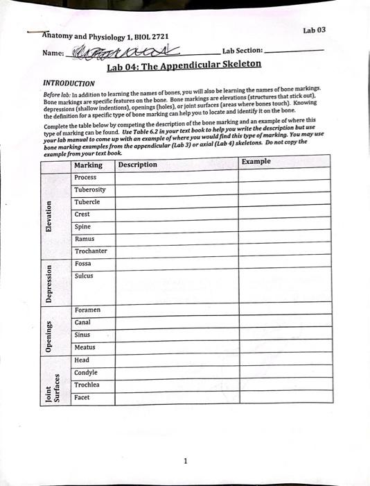 Solved INTRODUCTION Before lob: In addition to learning the | Chegg.com