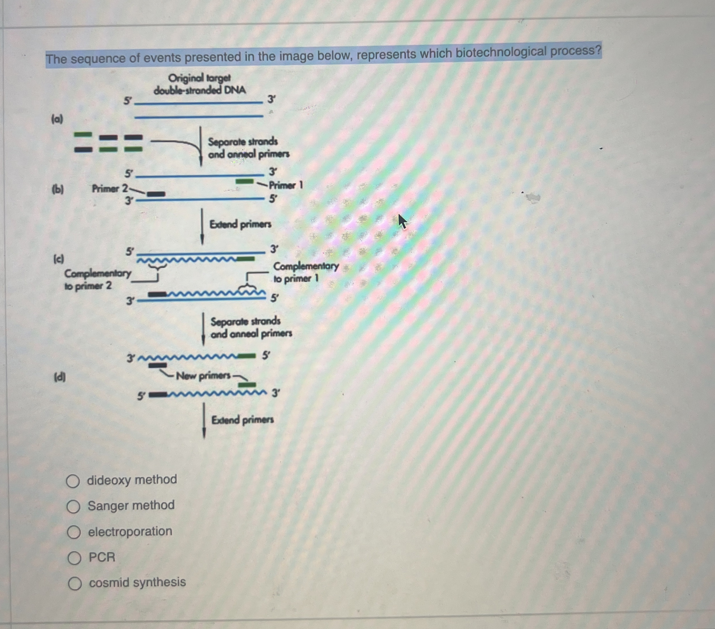 Solved The sequence of events presented in the image below, | Chegg.com