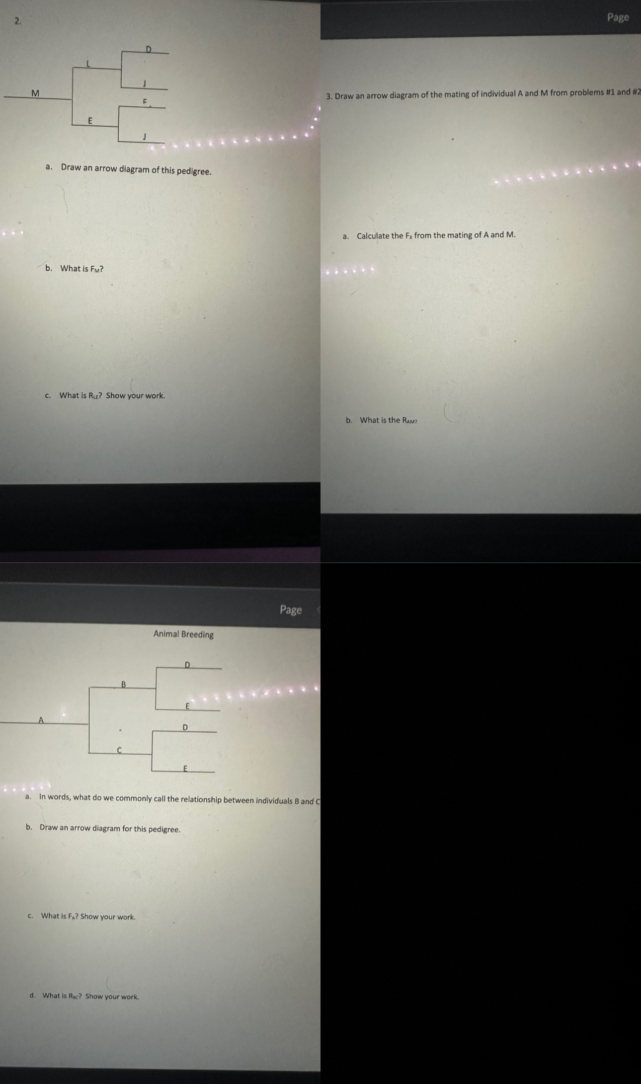 Solved Page3. ﻿Draw an arrow diagram of the mating of | Chegg.com