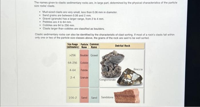 Solved The names given to clastic sedimentary rocks are, in | Chegg.com