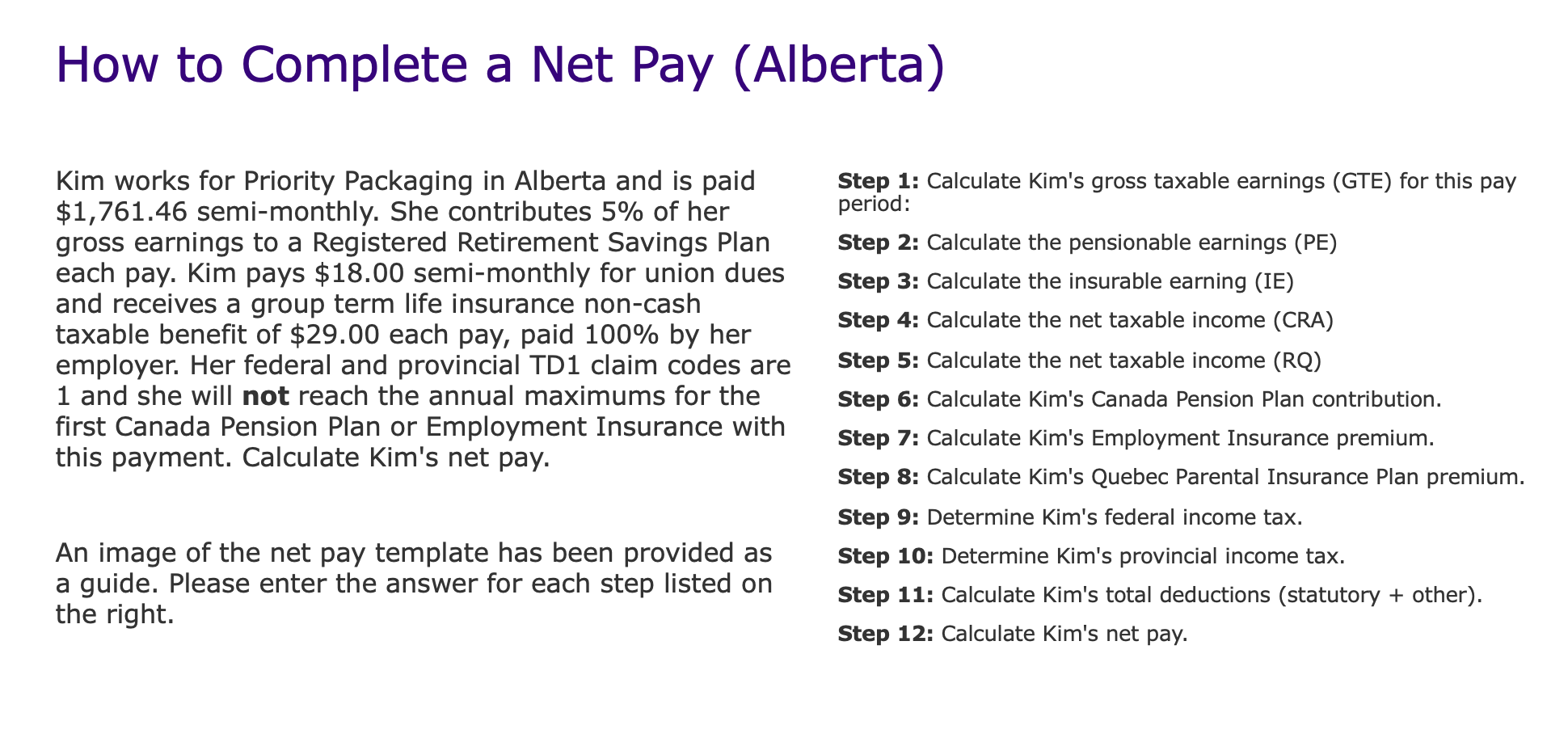 Solved How to Complete a Net Pay (Alberta)Kim works for | Chegg.com