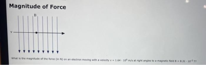 Solved Magnitude of Force What is the magnitude of the force | Chegg.com