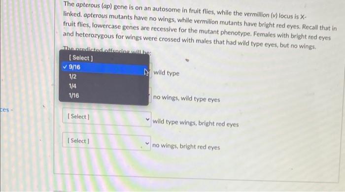 Solved The apterous (ap) gene is on an autosome in fruit | Chegg.com