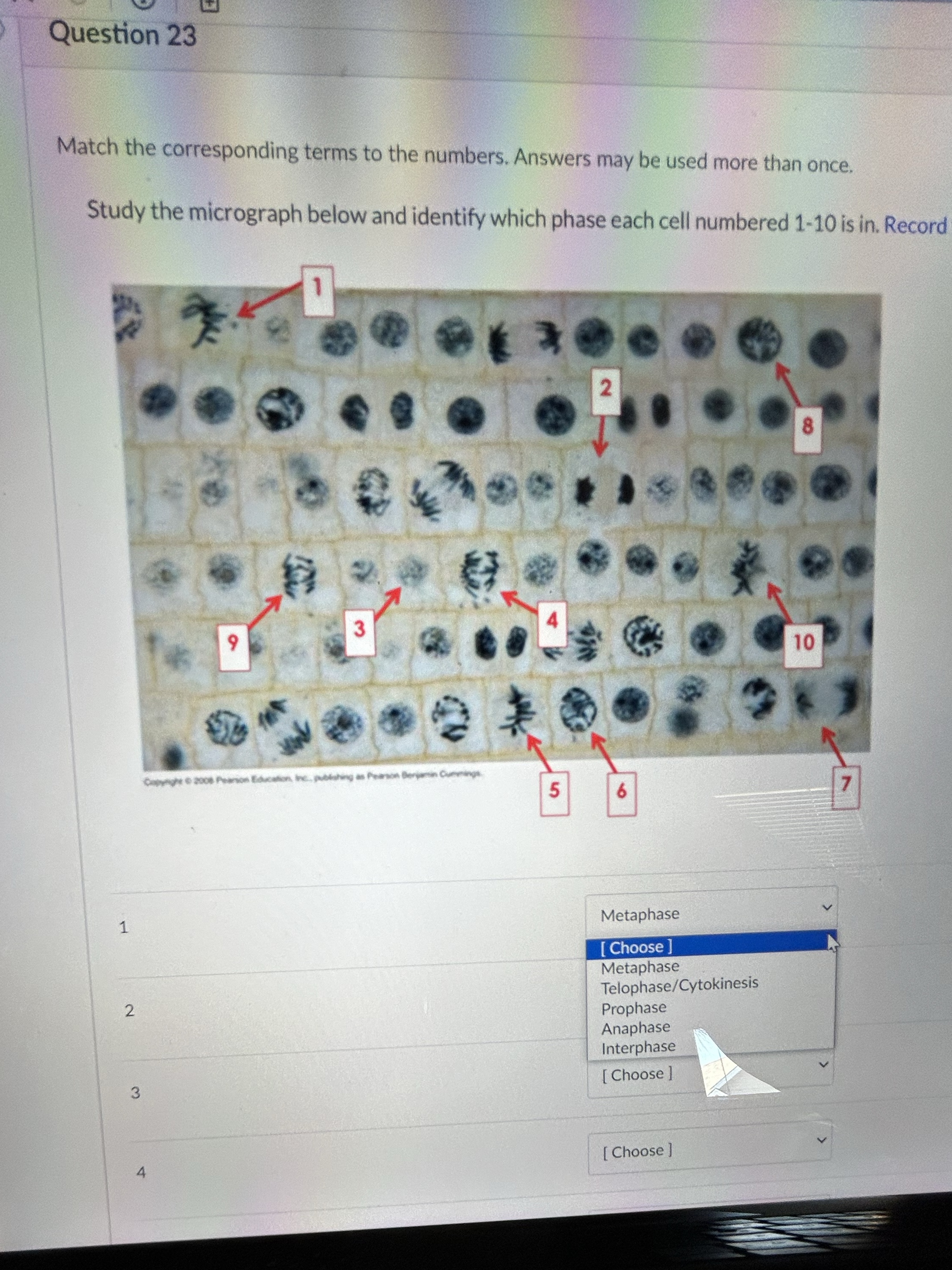 Solved Question 23Match the corresponding terms to the | Chegg.com