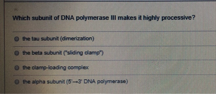 Solved Which subunit of DNA polymerase III makes it highly | Chegg.com