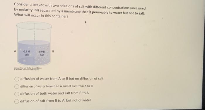 Solved Consider a beaker with two solutions of salt with | Chegg.com
