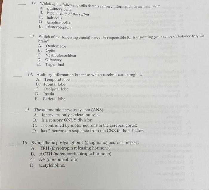 Solved 12. Which of the following cells detects sensory | Chegg.com