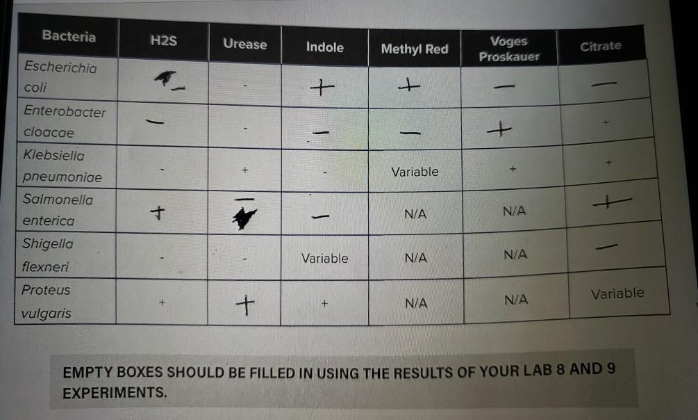 Solved please answer questions 1 and 2 with information from | Chegg.com