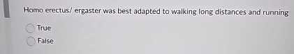 Solved Homo erectus/ ﻿ergaster was best adapted to walking | Chegg.com