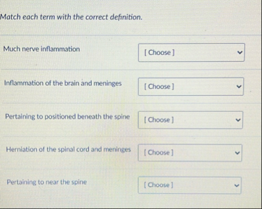Solved Match each term with the correct definition.Much | Chegg.com