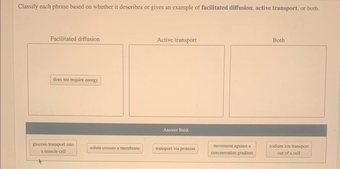 Solved Classify each phrase based on whether it describes or | Chegg.com
