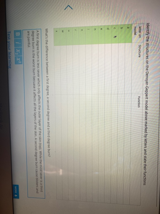 Identify the structures on the Denoyer-Geppert model | Chegg.com