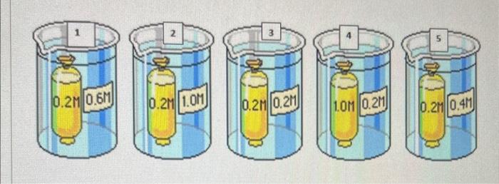 Solved Arrange the beakers in order of the volume inside the | Chegg.com