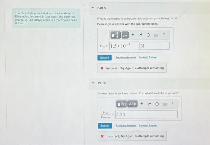 Solved The phosphate groups that form the backbone of DNA | Chegg.com